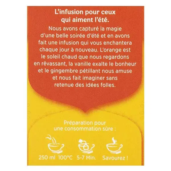 Yogi Tea Gingembre Orange Vanille 17 sachets | Prix bas