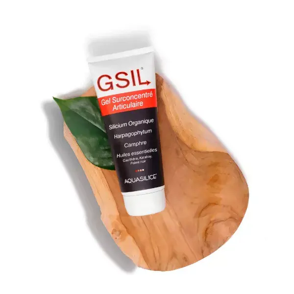 Aquasilice GSIL Gel Surconcentré Articulaire 200ml | petit prix