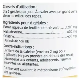 Nat & Form Original Thé Vert 200 gélules | Pas cher