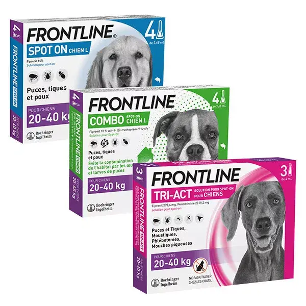 Frontline Combo Chien S Boite de 6 pipettes