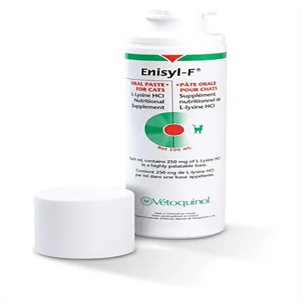 Vetoquinol Enisyl Chat Pate Oral 100ml | Pas cher