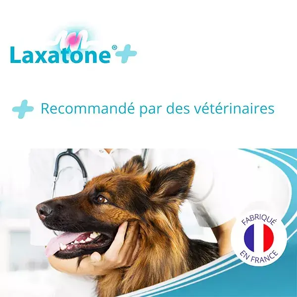 LAXATONE PLUS Complément alimentaire Boules de poils Transit chien chat