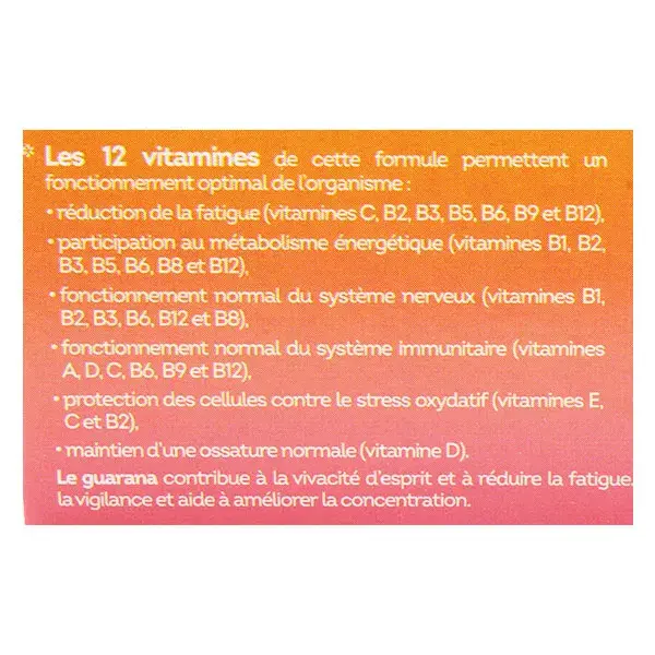 Nutrisanté Vitavea Multi Vitamines Booster 45 gélules | Pas cher