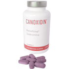 Devicare Canoxidin 90 Comprimidos Online|Atida