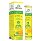 Buy Yarrow Mucus 15 effervescent tablets | mifarma.eu